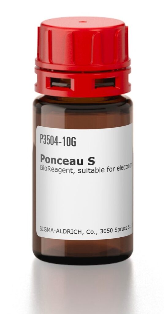 Ponceau S 10gr. SIGMA | MRS Labs